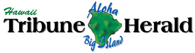 Aloha Joe Travel